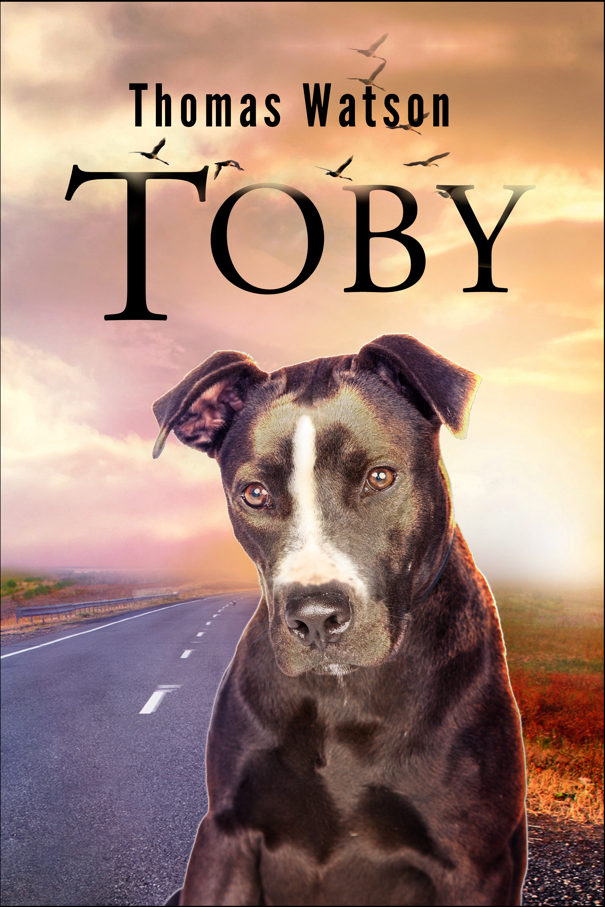 The Box Tipped Over: Writing a Story Called Toby | Under Desert Stars